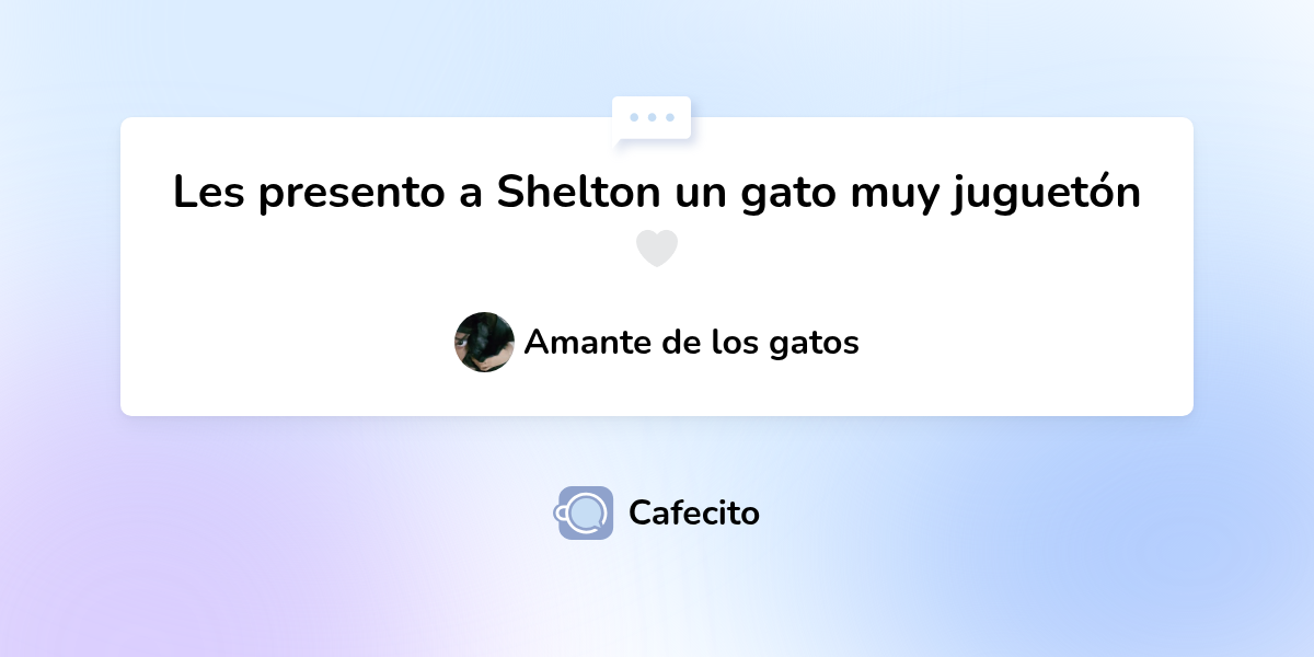 Les presento a Shelton un gato muy juguetón🤍 por Amante de los gatos ...